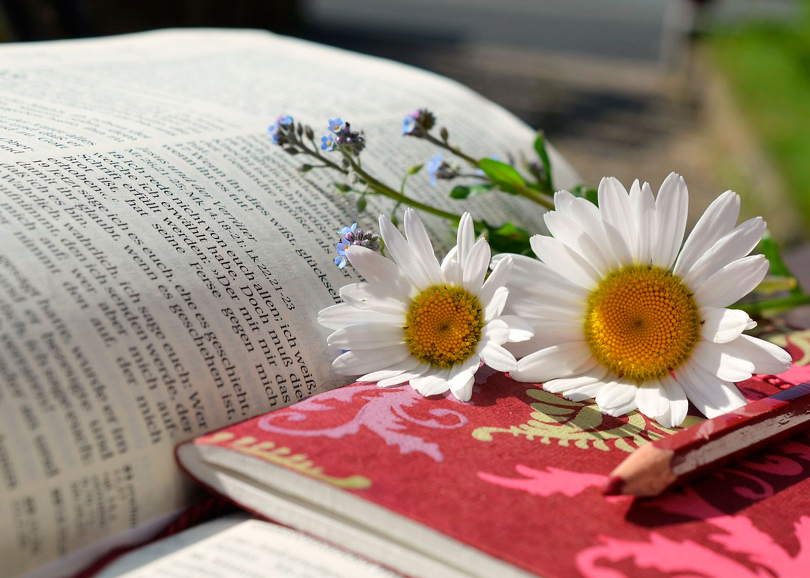 Cómo Memorizar Versículos Bíblicos Palabra Y Vida Club